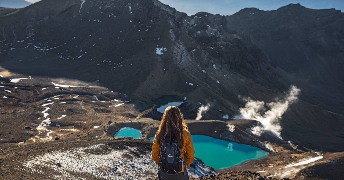 Journey through New Zealand's North Island: An Unforgettable Road Trip ...